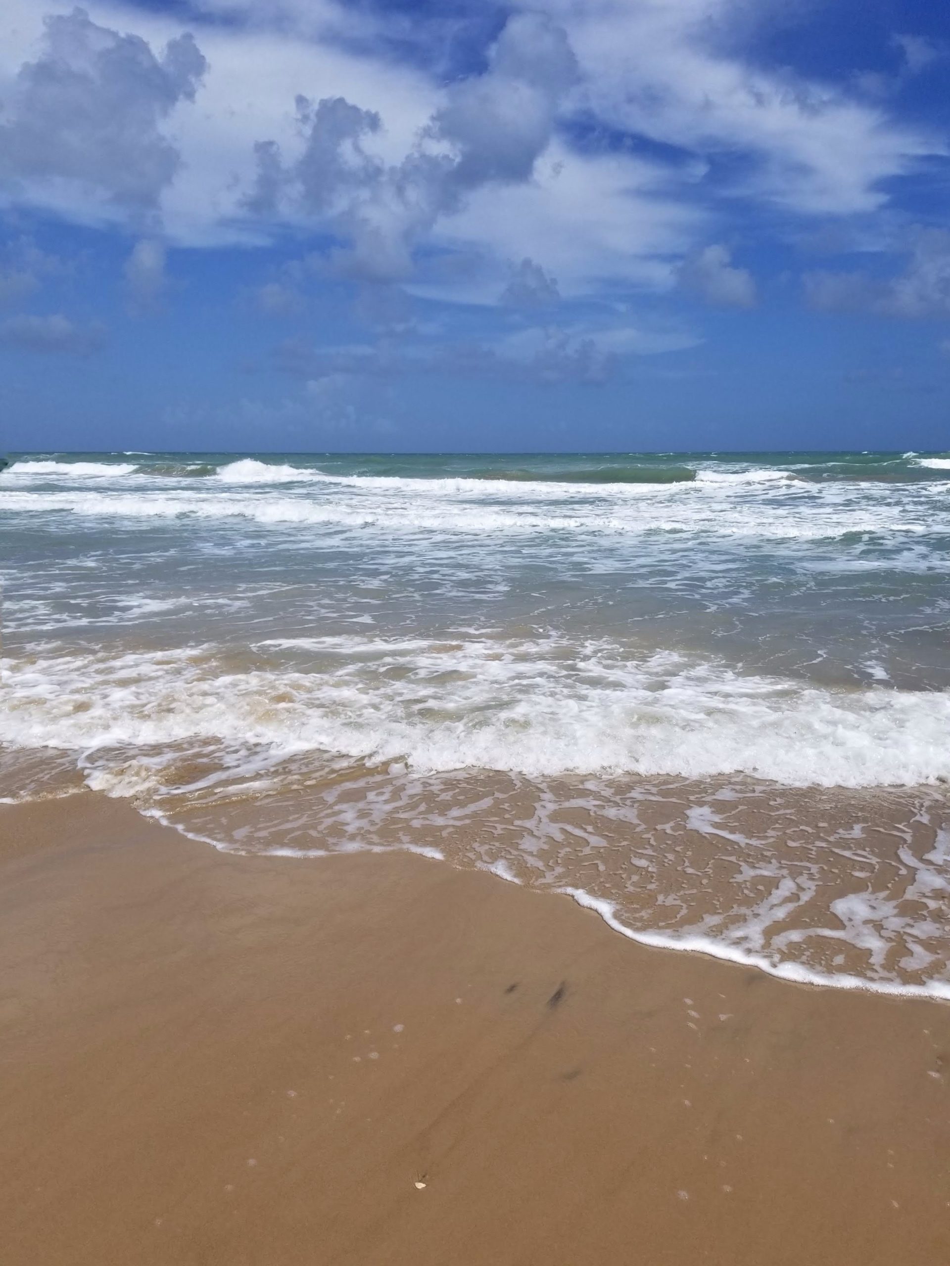 Las 12 Mejores Playas de Texas
