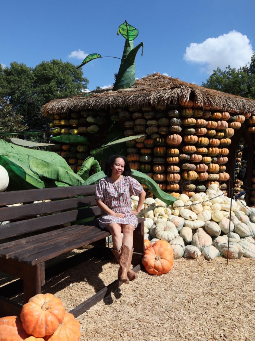 Pumpkin Patches y sitios con calabazas para fotos en DFW